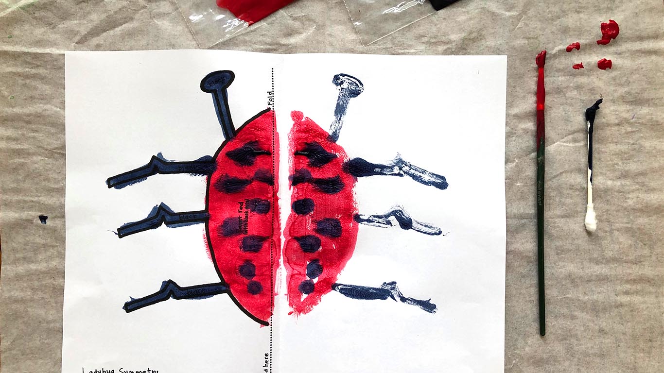 Ladybug Symmetry - The School of Montessori