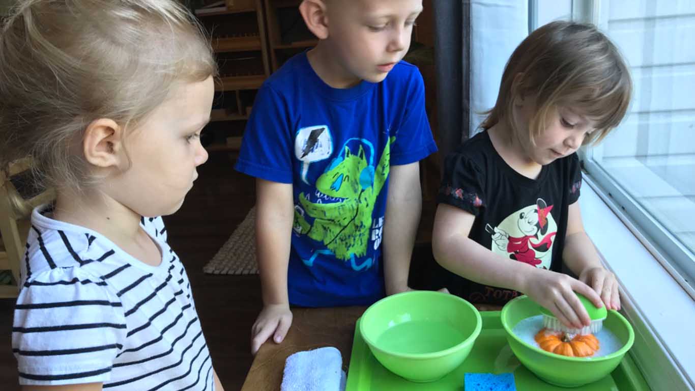 Scrubbing and Polishing - The School of Montessori
