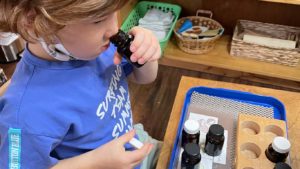 Olfactory - The School of Montessori
